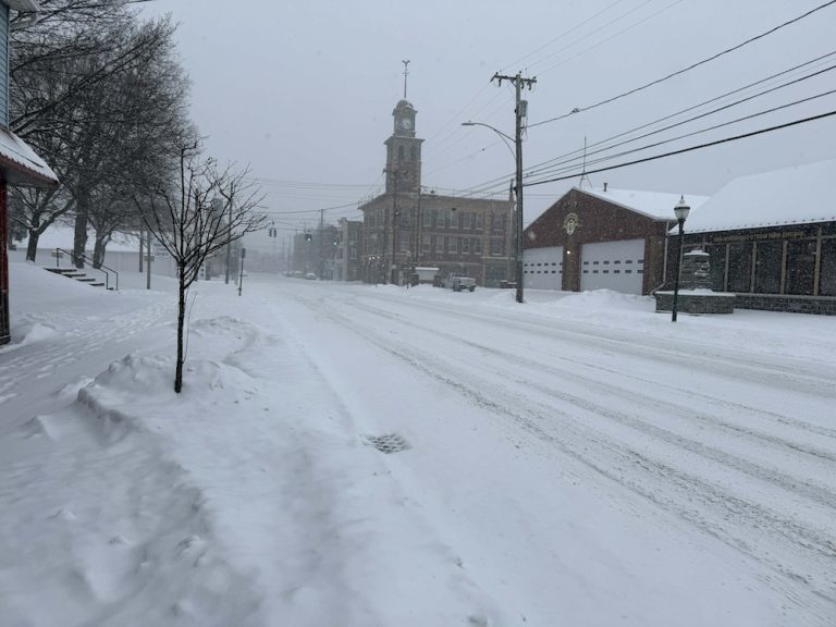 Tioga County residents grapple with ‘Winter Storm Fern’ - Owego ...